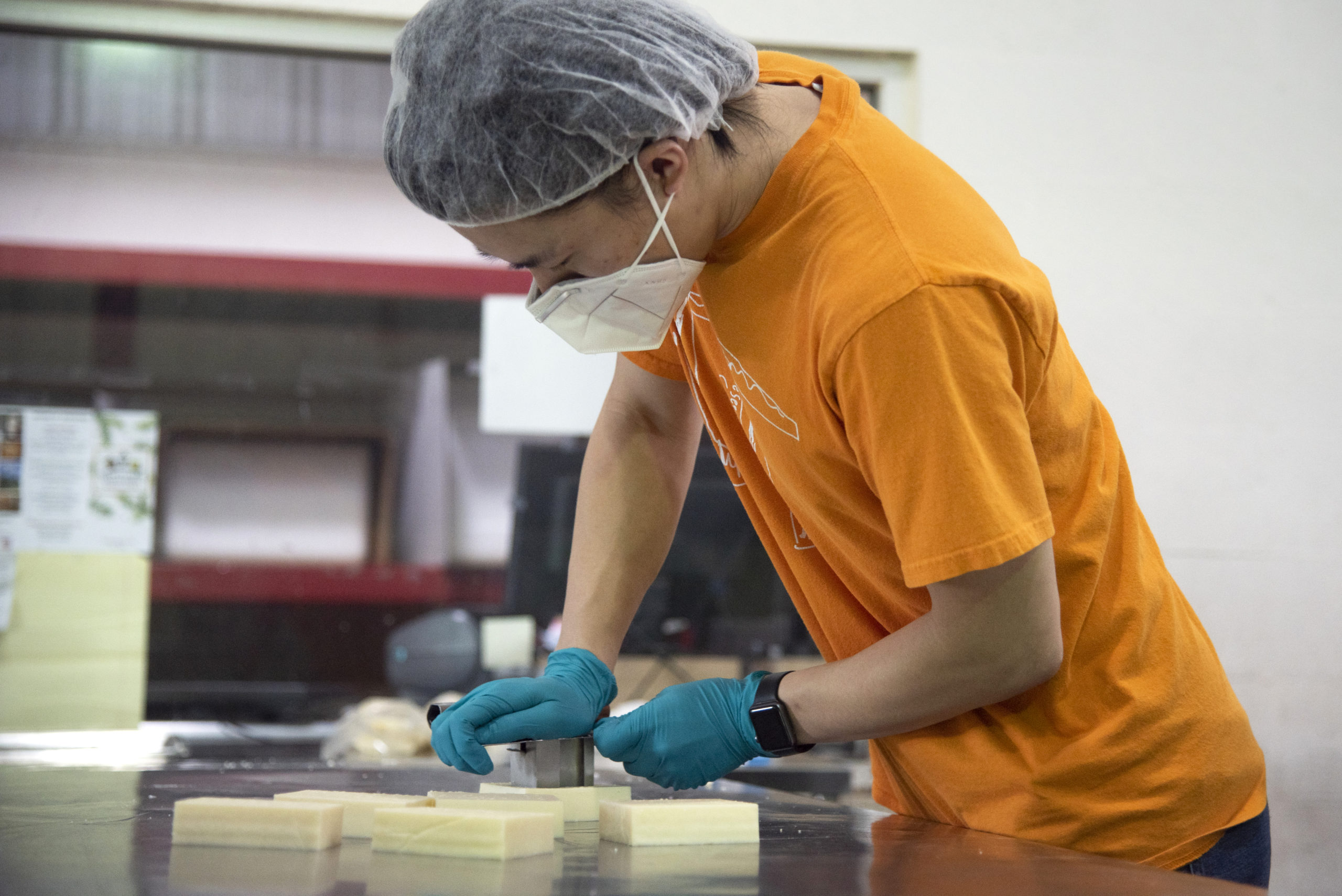 All Vol Cheese | All Vol Cheese